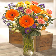 Sumo Flowers Florist - Order Online or 01635 33227