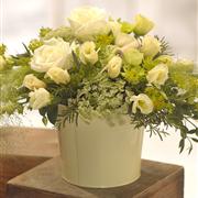 Sumo Flowers Florist - Order Online or 01635 33227