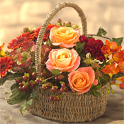 Sumo Flowers Florist - Order Online or 01635 33227