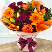 Sumo Flowers Florist - Order Online or 01635 33227