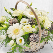 Sumo Flowers Florist - Order Online or 01635 33227