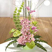 Sophistication Sumo Flowers Florist Newbury