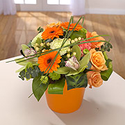 Tango Sumo Flowers Florist Newbury