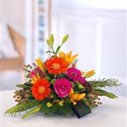 Tropical Glow Sumo Flowers Florist Newbury