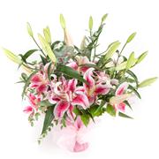 Pink Lilies Sumo Flowers Florist Newbury